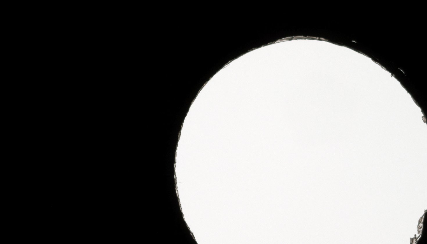 Program | Izbor slovenskih kratkih eksperimentalnih filmov | BSF - Baza ...